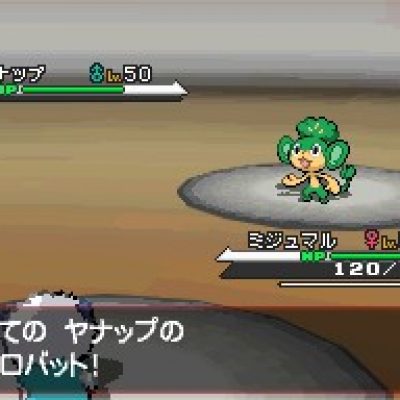 Meet Yanappu | PokéJungle