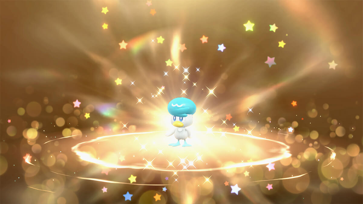 New anime tie-in Mystery Gift: receive Dot’s Quaxly! | PokéJungle