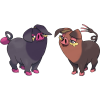 Lechonk and Oinkologne | Origin of Species | PokéJungle