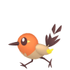Here’s an opportunity to Shiny hunt some bird Pokémon in Scarlet & Violet
