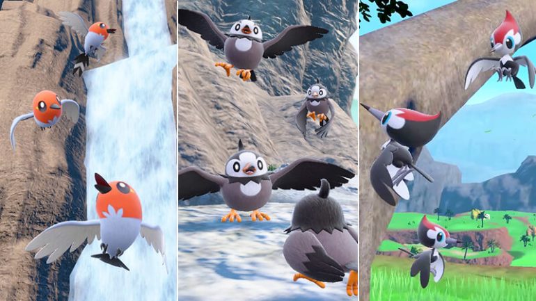 Here’s an opportunity to Shiny hunt some bird Pokémon in Scarlet & Violet